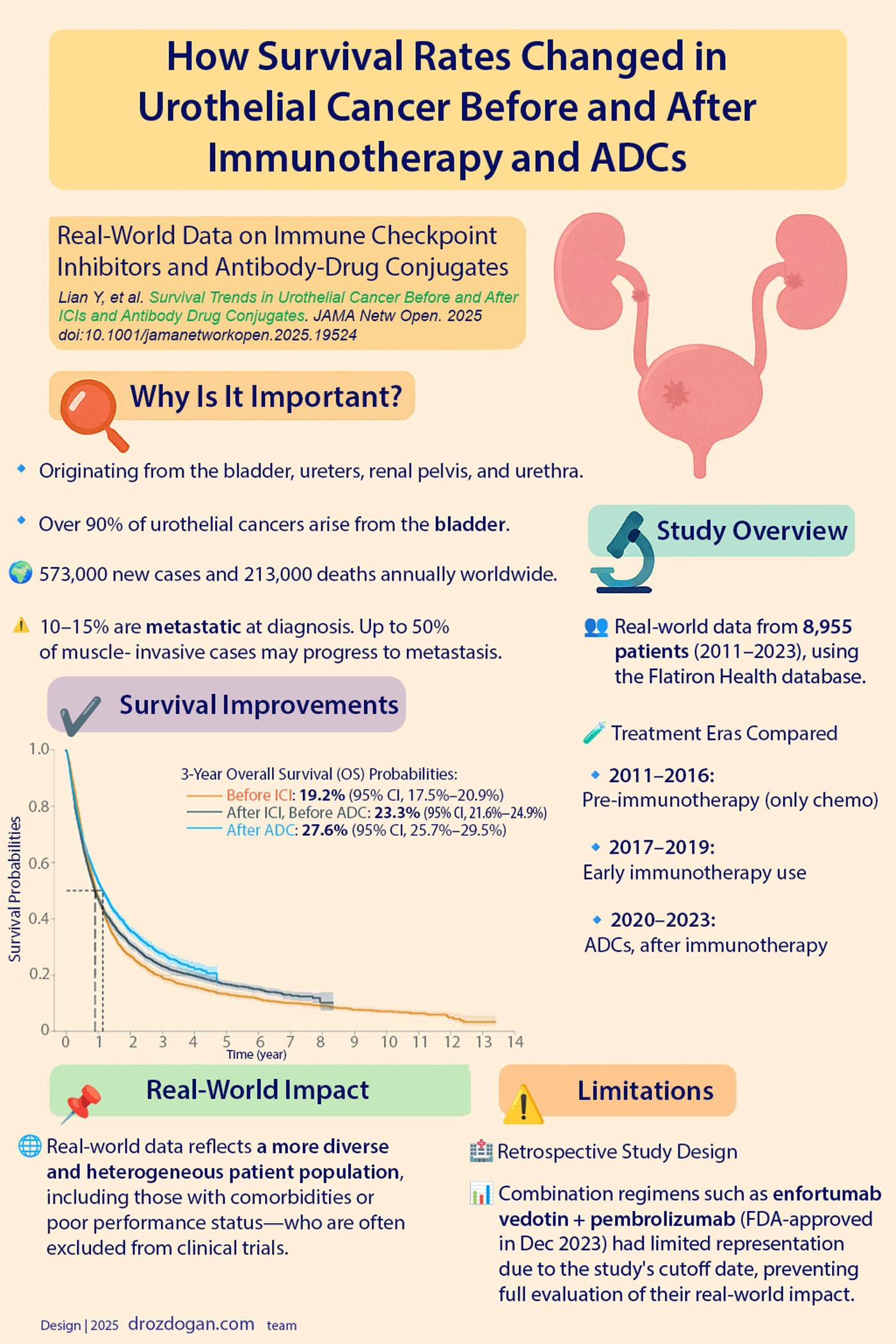 How Survival Rates Changed in Urothelial Cancer Before and After ...