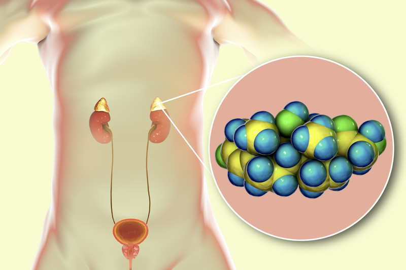 Kortizol ve Kortizon Hormonu Nedir? Ne İşe Yarar? | Prof. Dr. Mustafa ...
