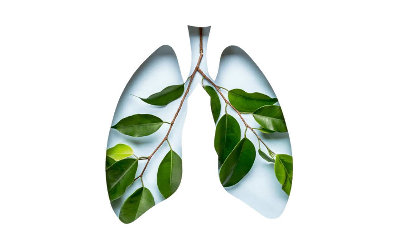 Küçük Hücreli Akciğer Kanserinde Serplulimab ile Şimdiye Kadar Alınan ... Küçük Hücreli Akciğer Kanserinde Serplulimab ile Şimdiye Kadar Alınan ...