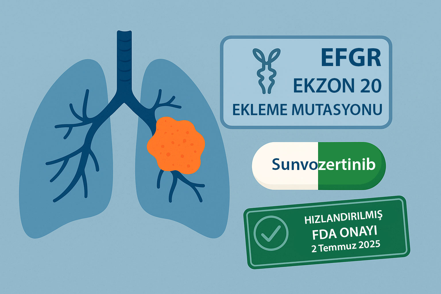 Sunvozertinib EGFR Ekzon 20 Mutant Akciğer Kanserinde Hızlandırılmış FDA Onayı Aldı | Prof. Dr ...