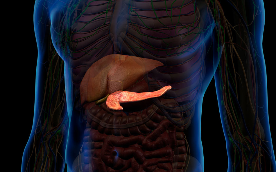 Tip 1 Diyabet Hastalığı için İlk Hücresel Tedavi FDA Onayı Aldı ...