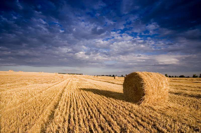 Yatak yarası – dekübit ülser hakkında bilinmesi gerekenler | Prof. Dr ...