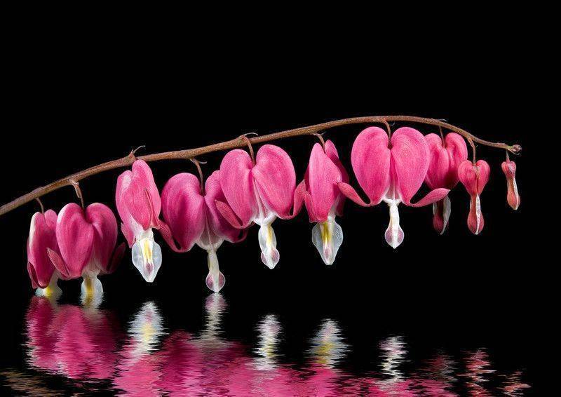 Kanama nedir ve belirtileri nelerdir? | Prof. Dr. Mustafa ÖZDOĞAN