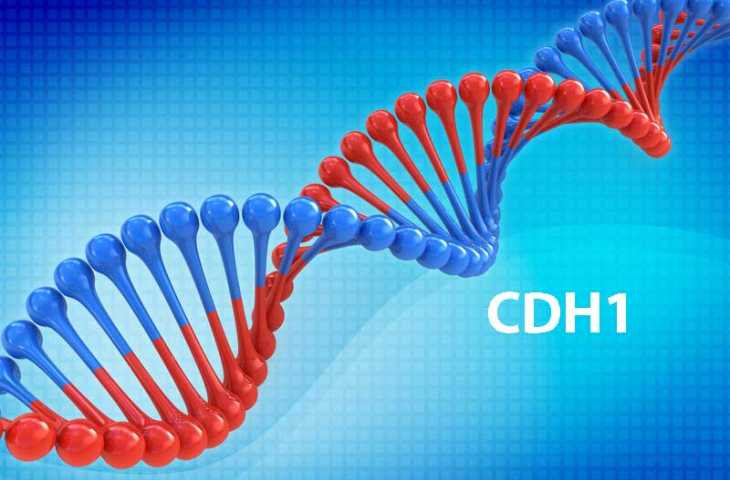 CDH1 gen mutasyonu nedir? Hangi kanserlerin riskini artırır? | Prof. Dr ...