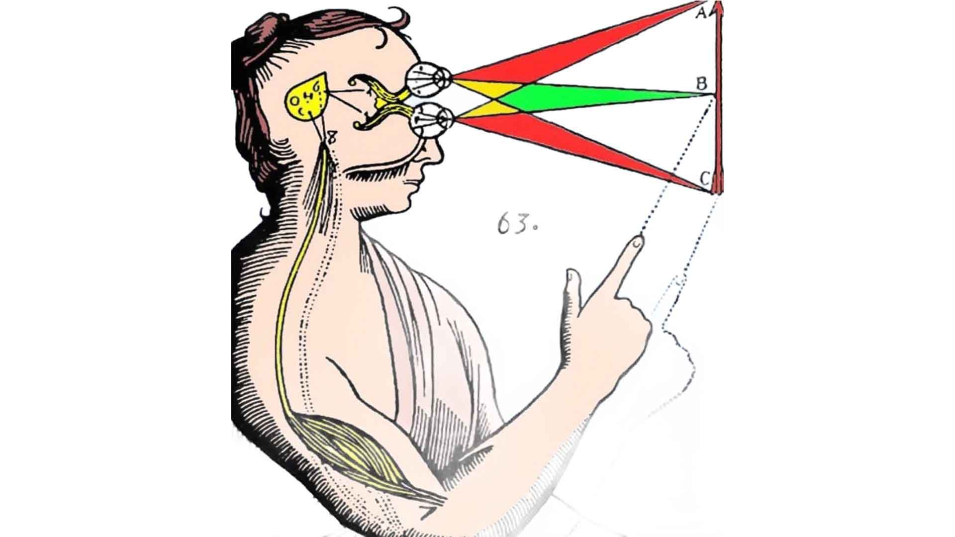 Epifiz Bezi 1958 – Küçük Beynin Büyük İşleri | Prof. Dr. Mustafa ÖZDOĞAN