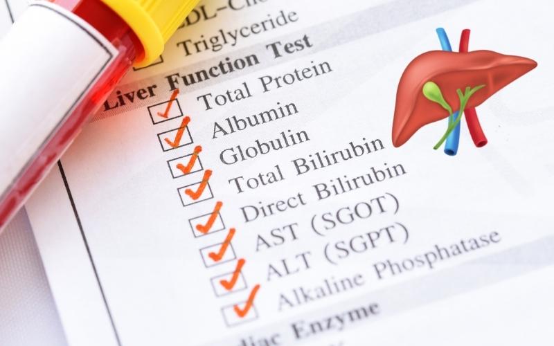 Karaciğer Enzimleri Nelerdir? Yüksekliğinin Belirtileri, Nedenleri ve ...