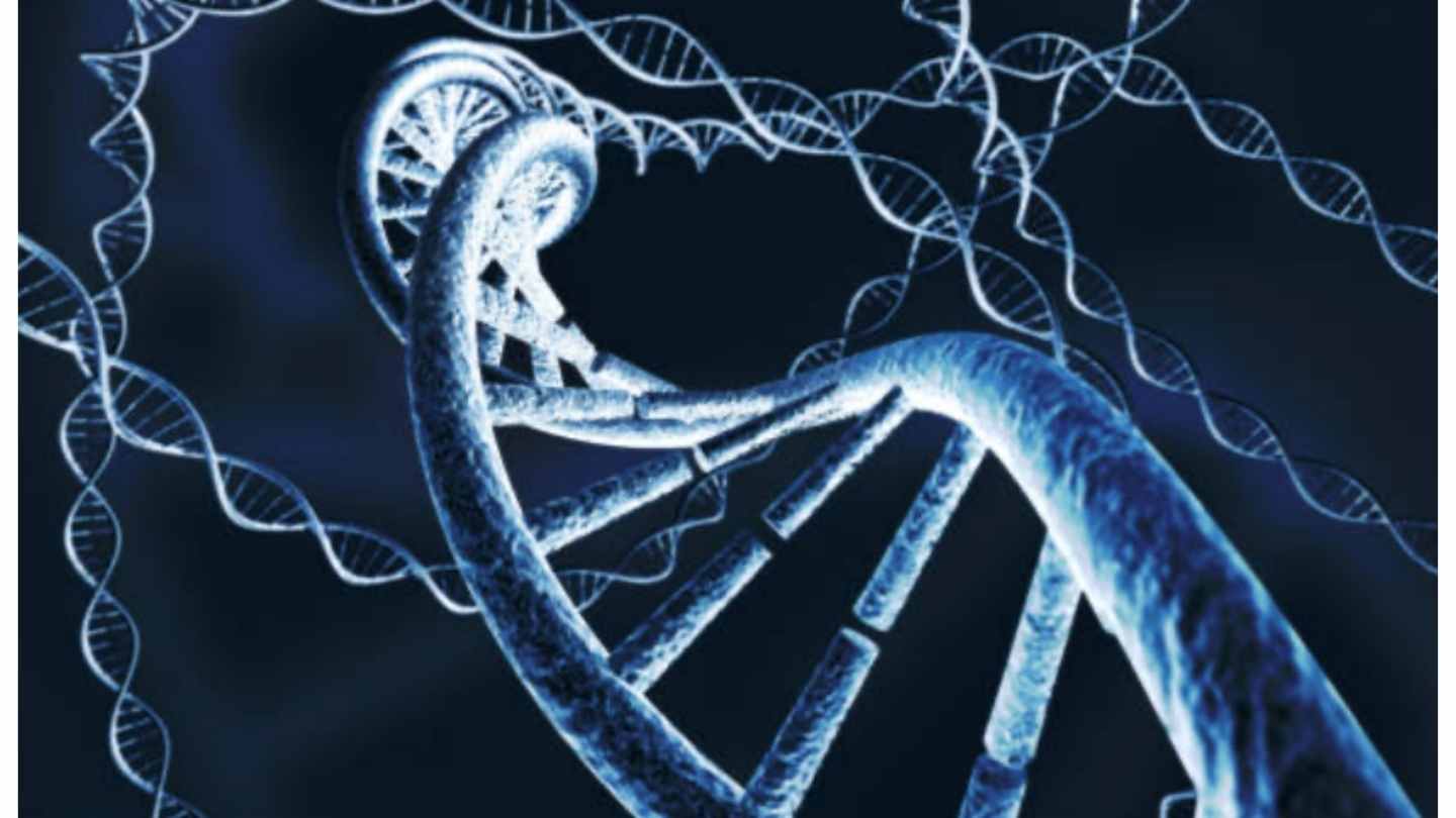 Polimeraz Zincir Reaksiyonu – Genetik Materyalin Matbaası | Prof. Dr ...