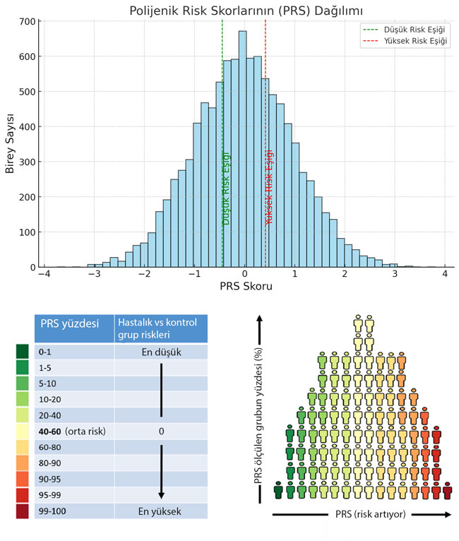 Poligenik Risk Skoru (PRS) – Hastalık Tahmininde Yeni Genetik Araç ...