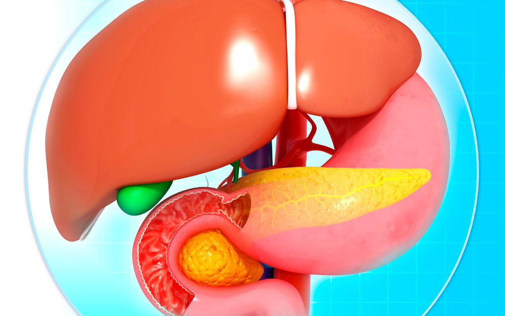 Safra Kanalı Tıkanıklığında Takılan Biliyer Stent ve PTK Dren Nedir ...